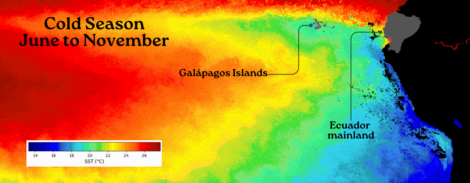 Ocean currents and climate in the Galápagos – Galapagos Dive Training ...