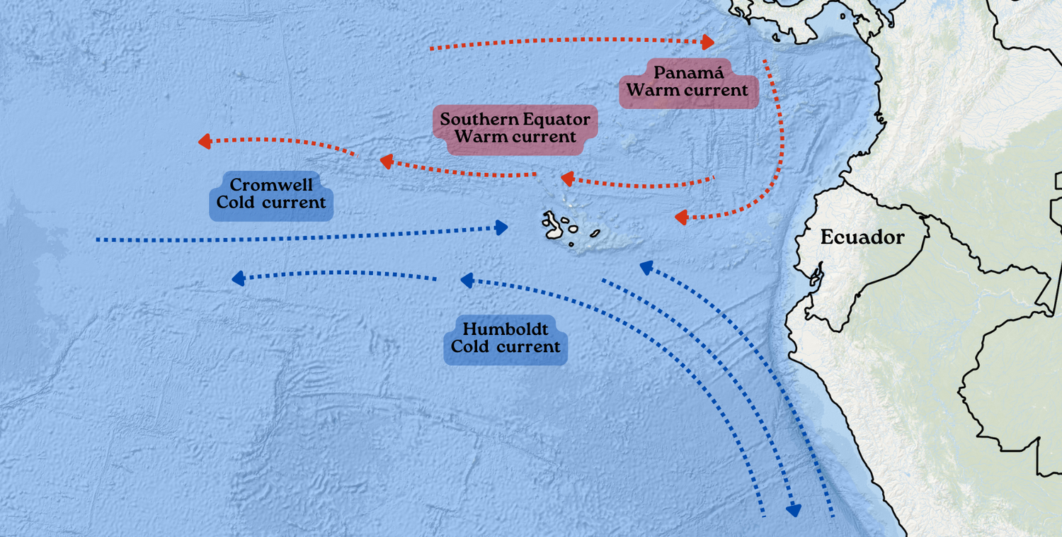 Ocean currents and climate in the Galápagos – Galapagos Dive Training ...