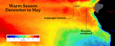 Ocean currents and climate in the Galápagos – Galapagos Dive Training ...
